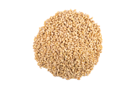Legumes – Haj Arafa